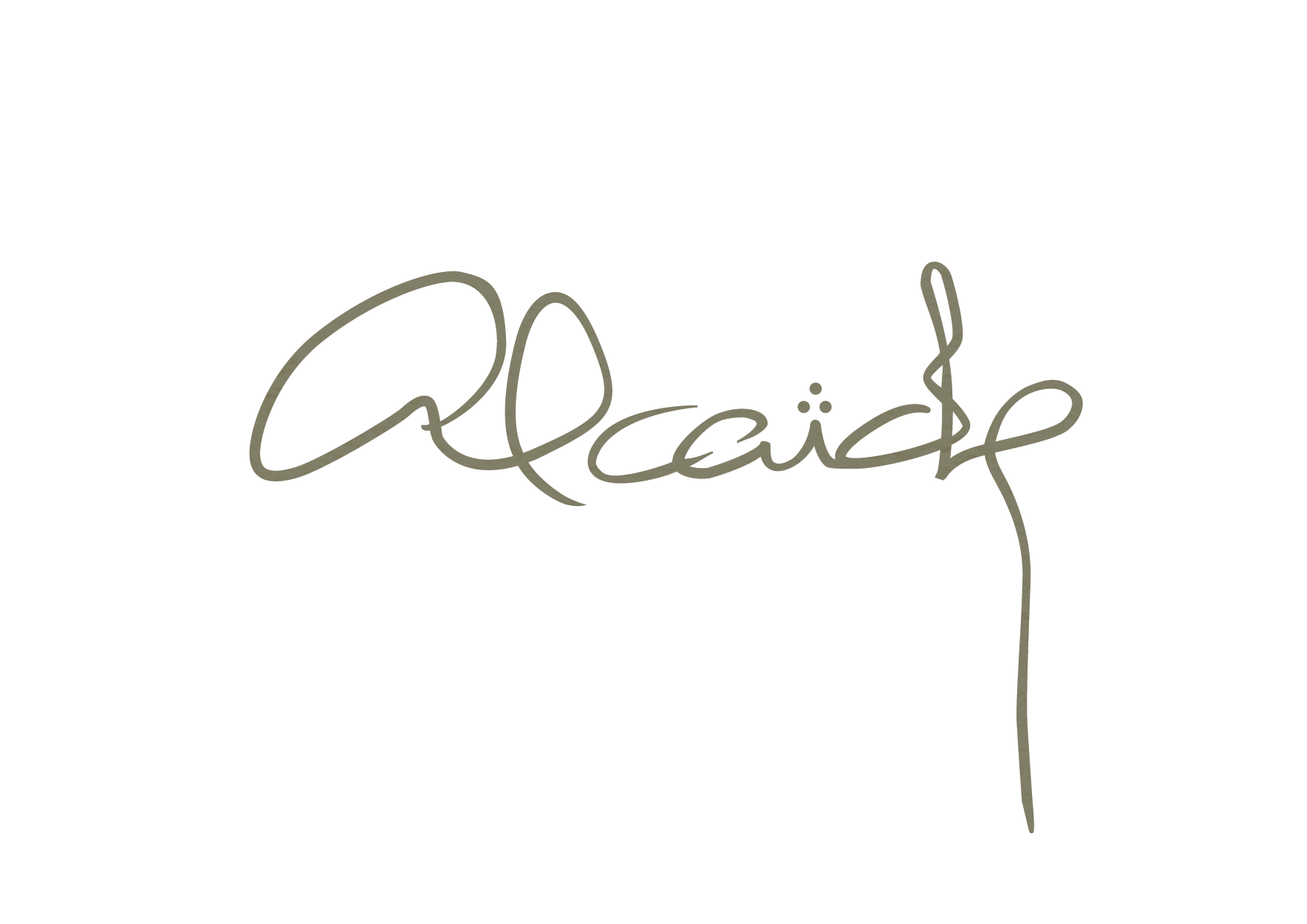 CURRICULUM – ADOLFO ALCAIDE
